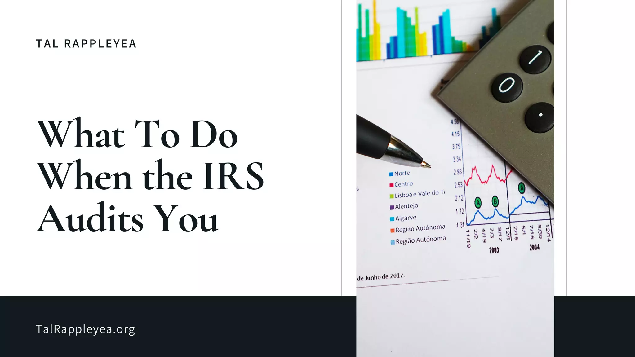 What To Do When the IRS Audits You | PPT