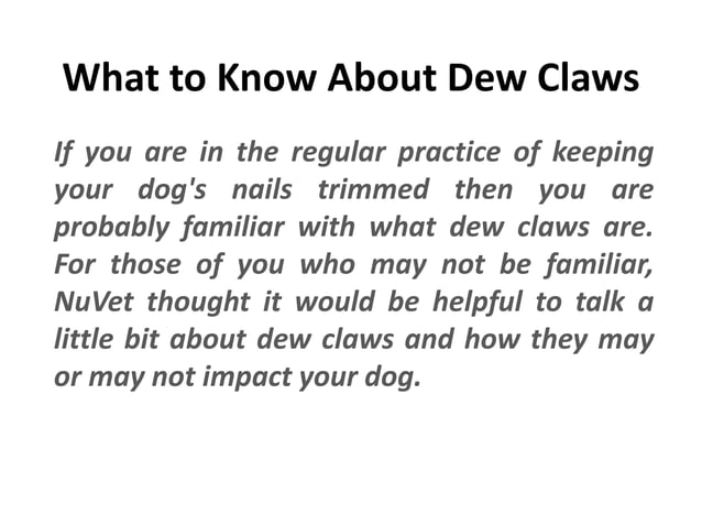 What to know about dew claws | PPT