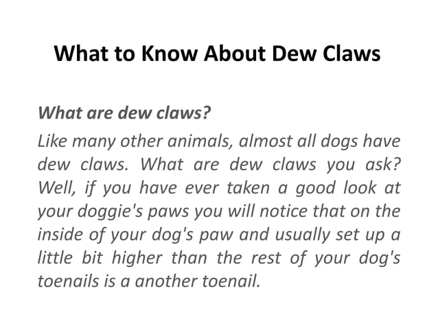 What to know about dew claws | PPT