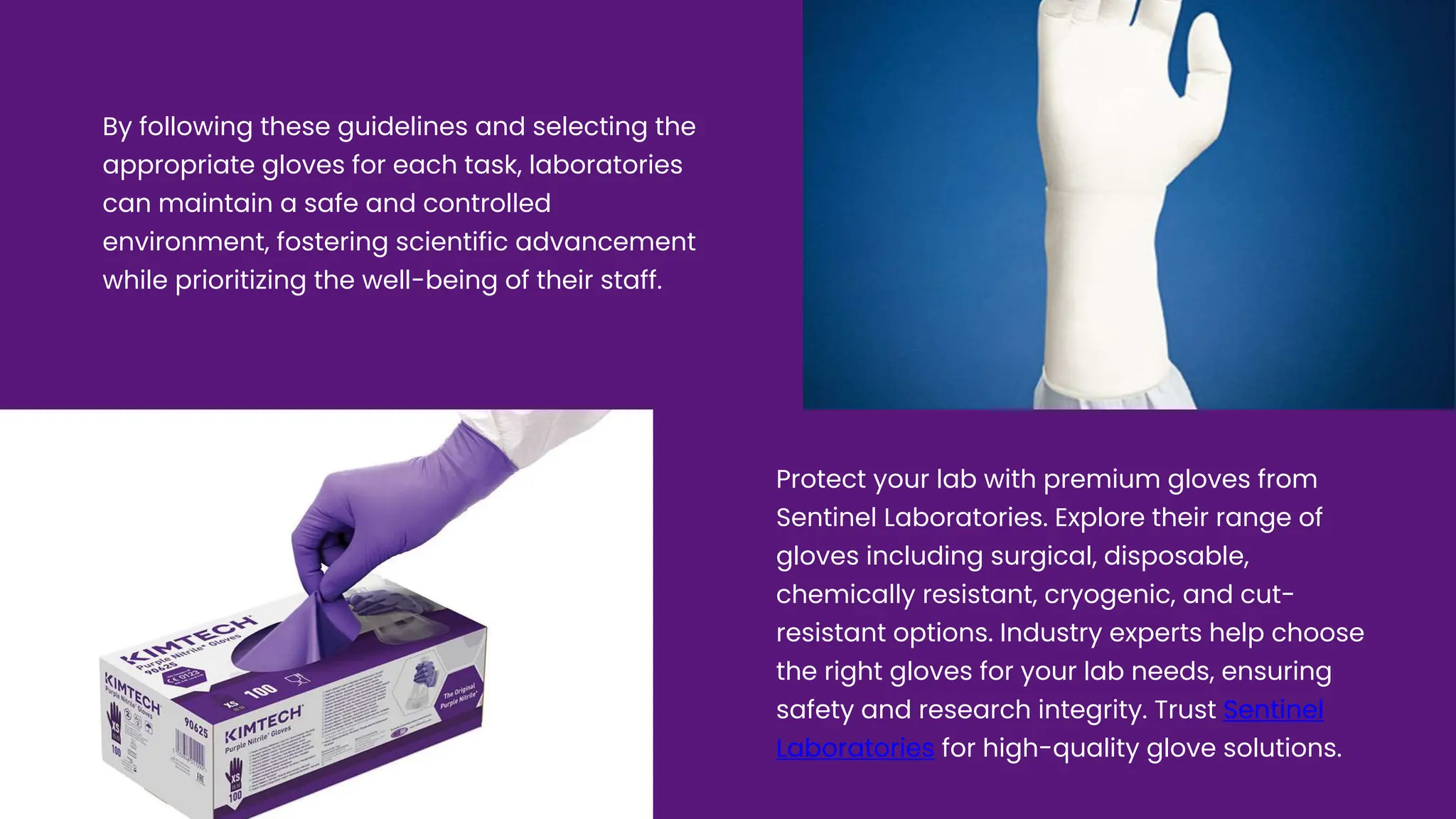 What type of gloves are used in the laboratory? | PPTX