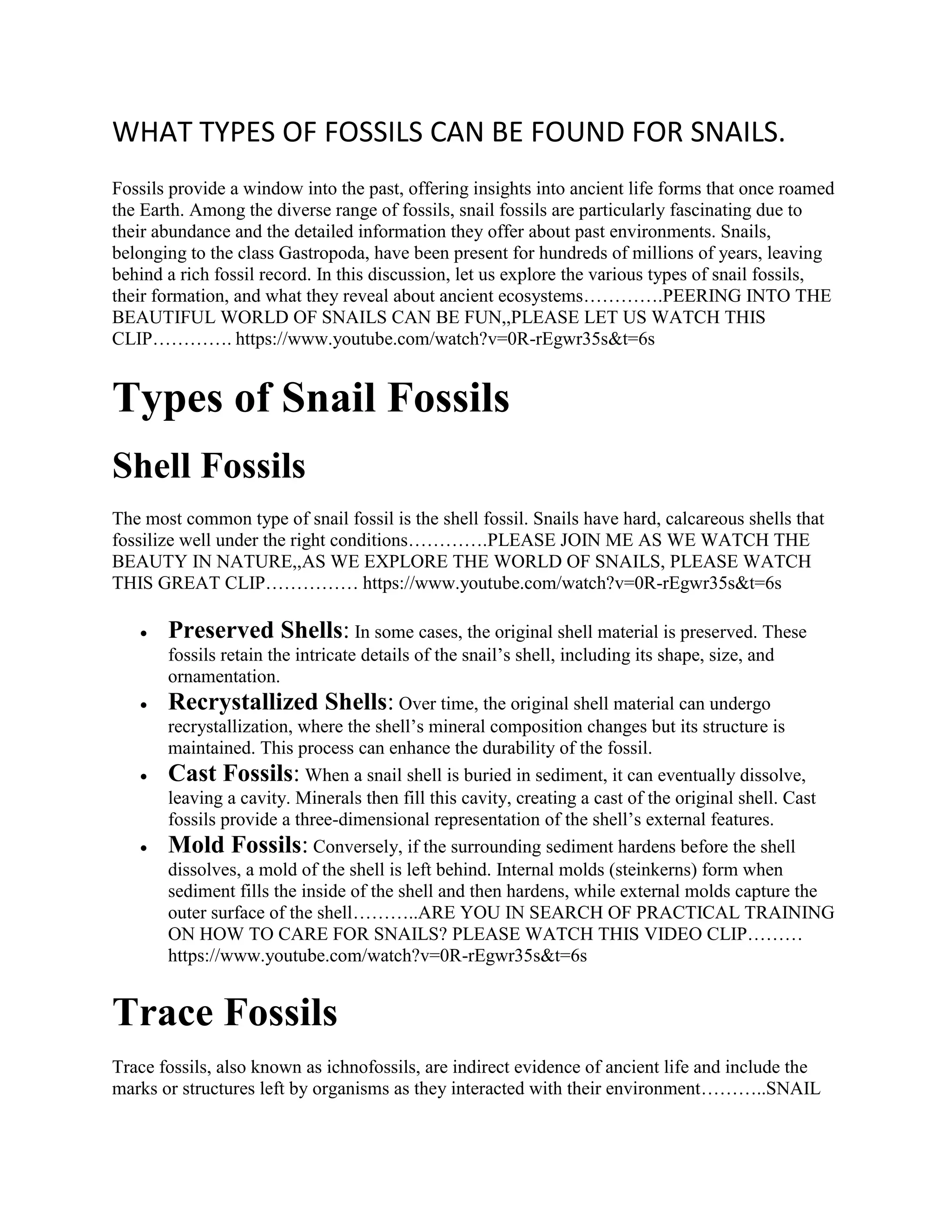 WHAT TYPES OF FOSSILS CAN BE FOUND FOR SNAILS..docx