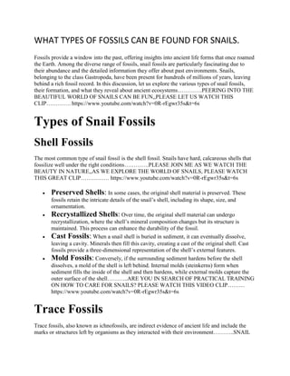 WHAT TYPES OF FOSSILS CAN BE FOUND FOR SNAILS..docx
