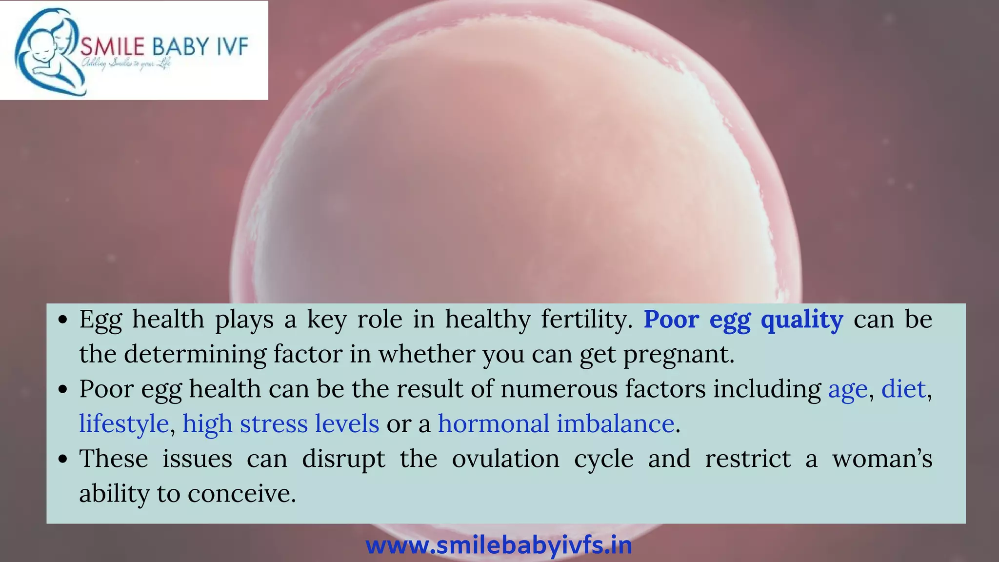 What Vitamins Improve Egg Quality? | PDF
