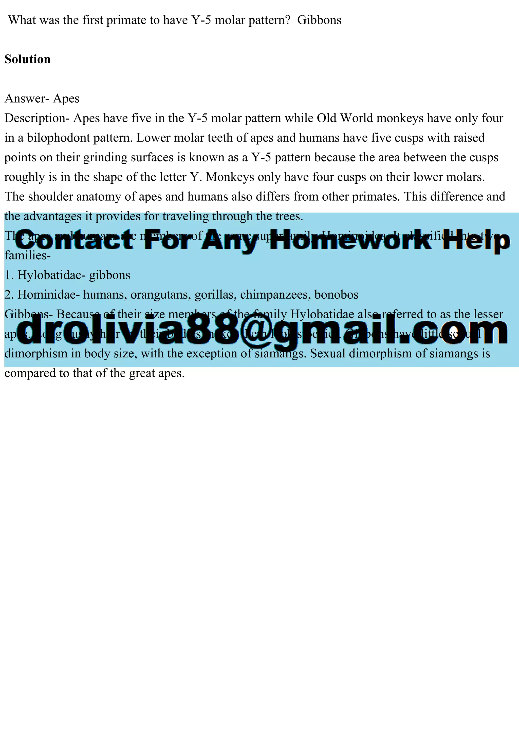 What was the first primate to have Y-5 molar pattern GibbonsSol.pdf