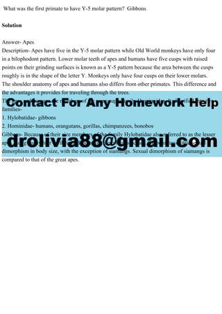 What was the first primate to have Y-5 molar pattern GibbonsSol.pdf