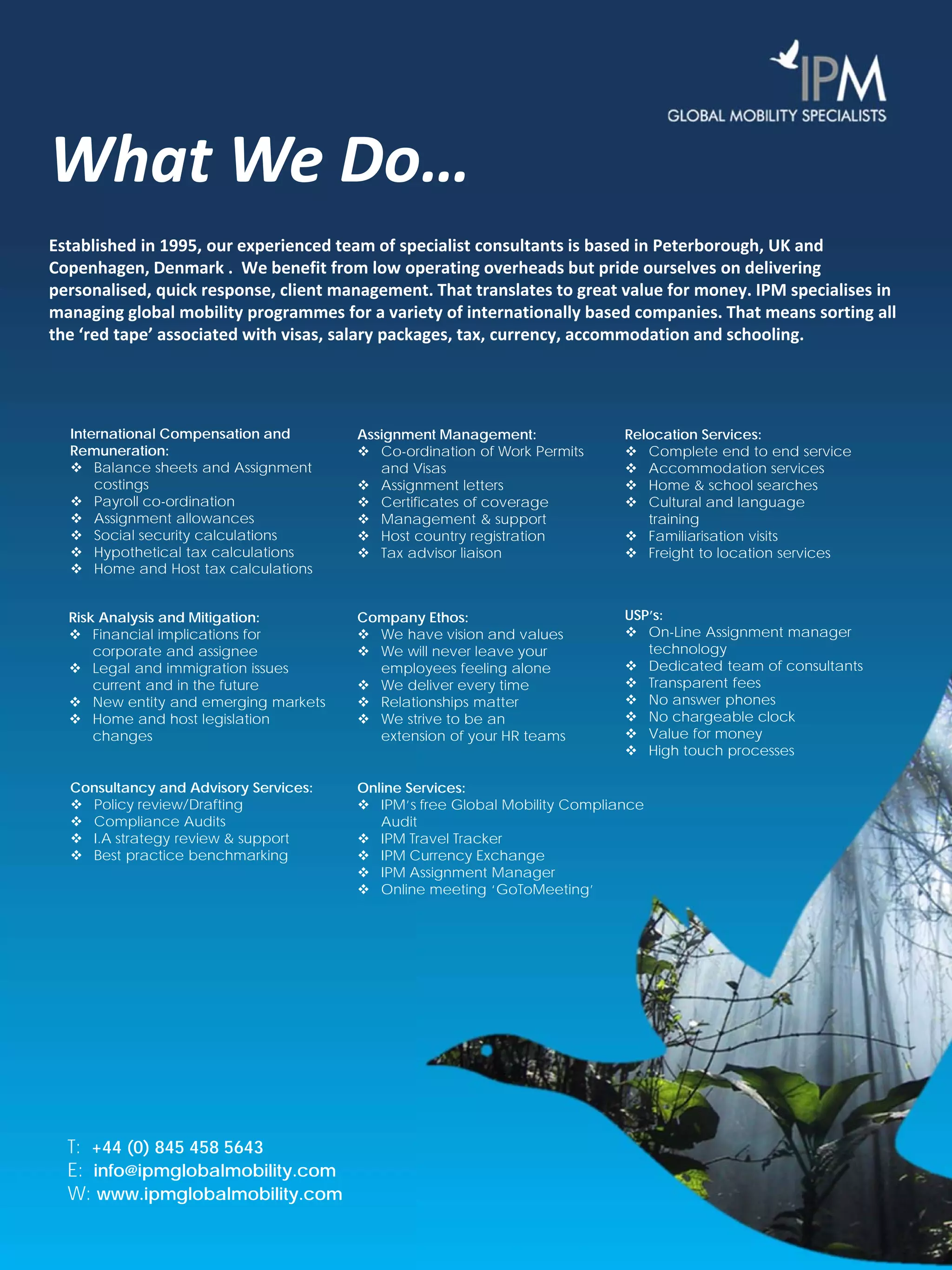 What We Do | PDF