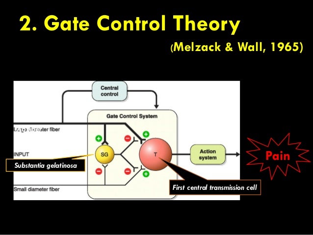 What we know about pain very new prof husni