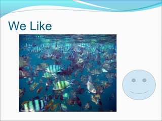 What we like and what we don´t like | PPT