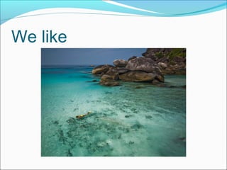 What we like and what we don´t like | PPT