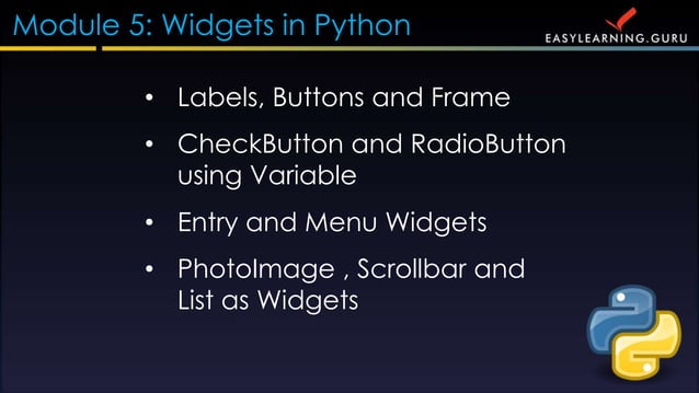 Python GUI Course Summary - 7 Modules | PPTX