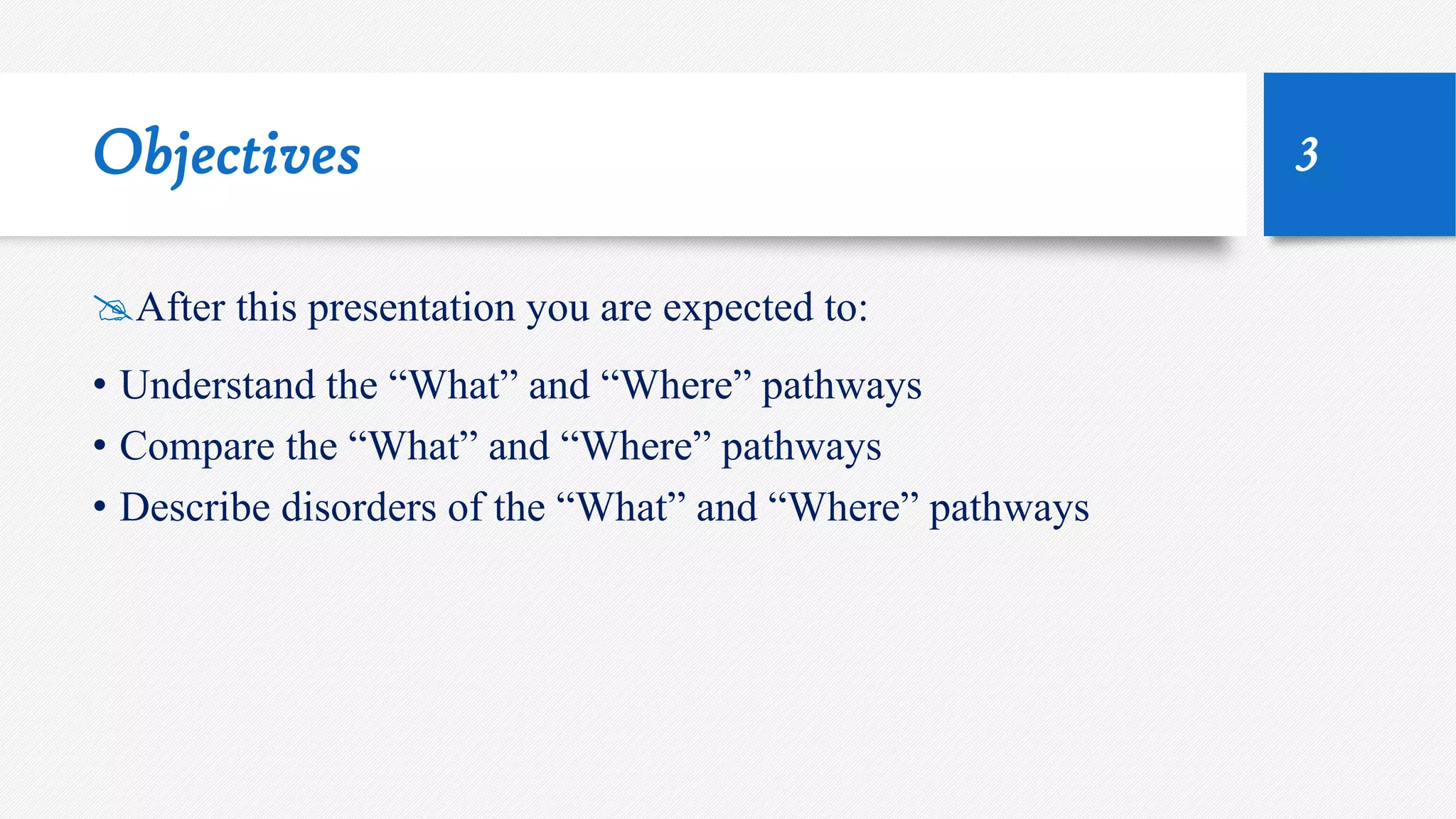 What & Where Pathways | PDF