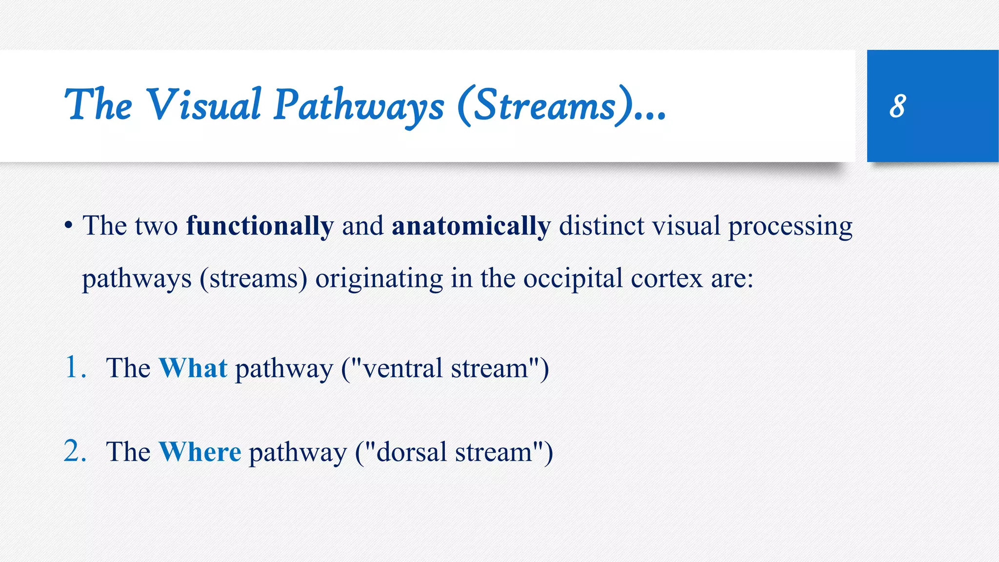What & Where Pathways | PDF