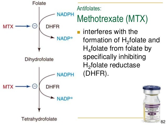 Methotrexate Pathway