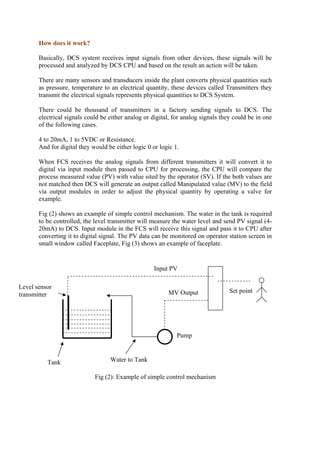 What you about_dcs_system (1) | PDF
