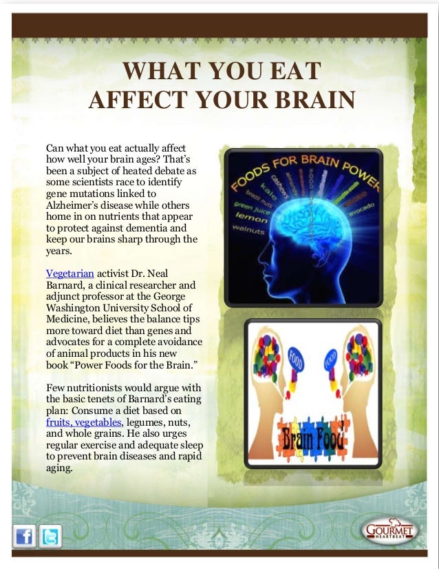 What You Eat Affect Your Brain