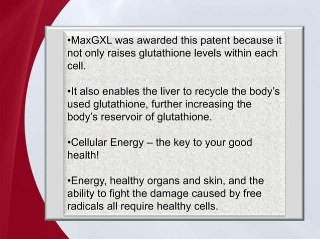 What You Need To Know About Max Gxl | PPT