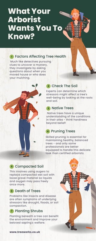 What Your Arborist Wants You To Know.pdf