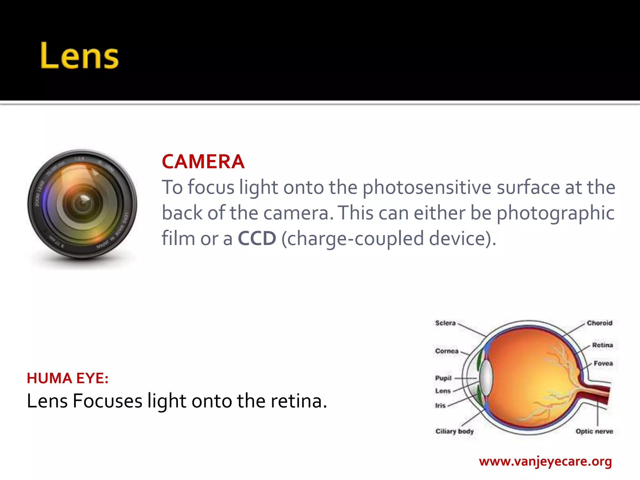Similarities Between Your Eyes and A Camera | PPTX
