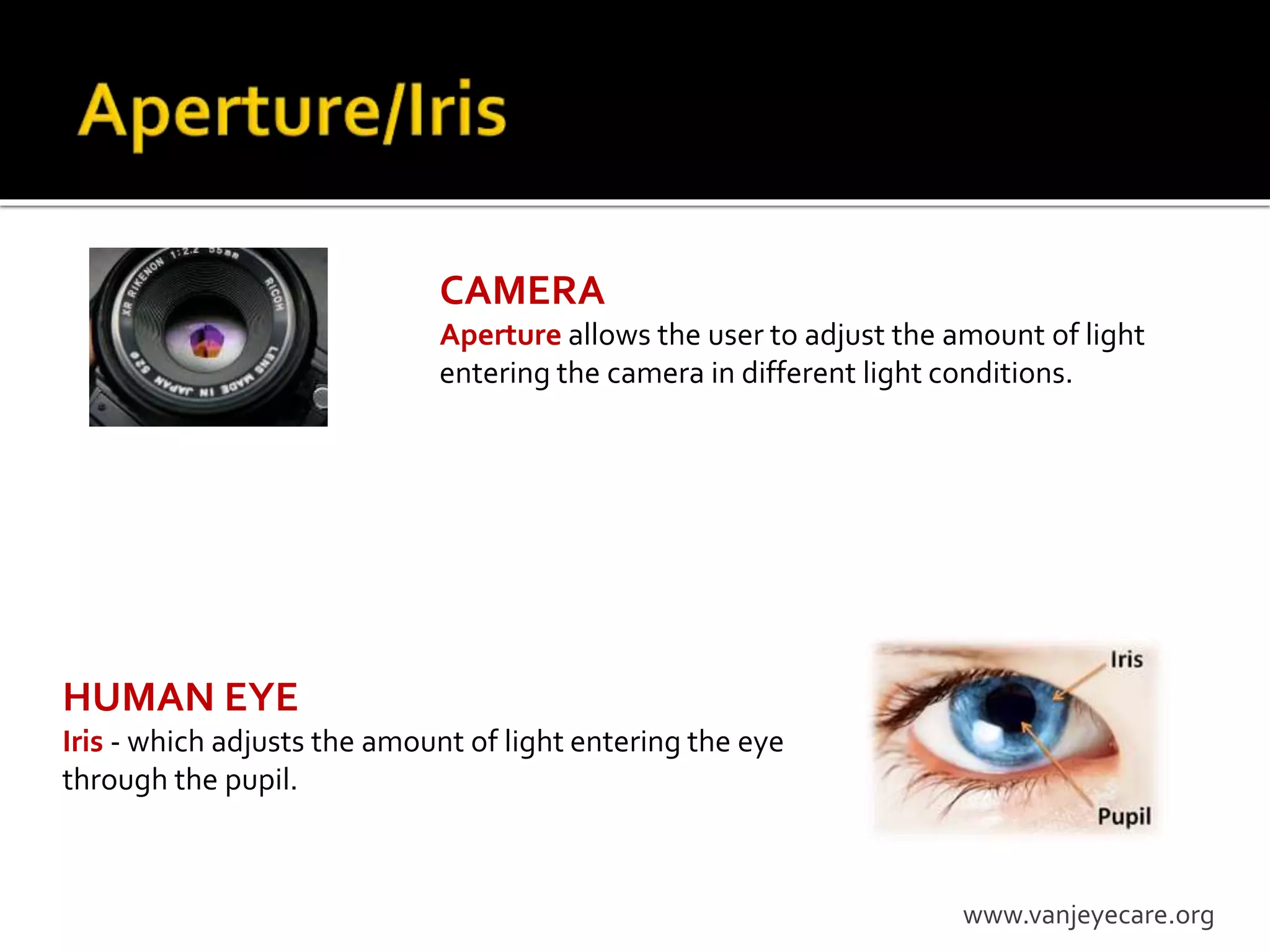 Similarities Between Your Eyes and A Camera | PPTX