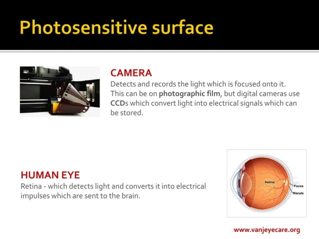 Similarities Between Your Eyes and A Camera | PPTX