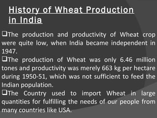 Wheat | PPT