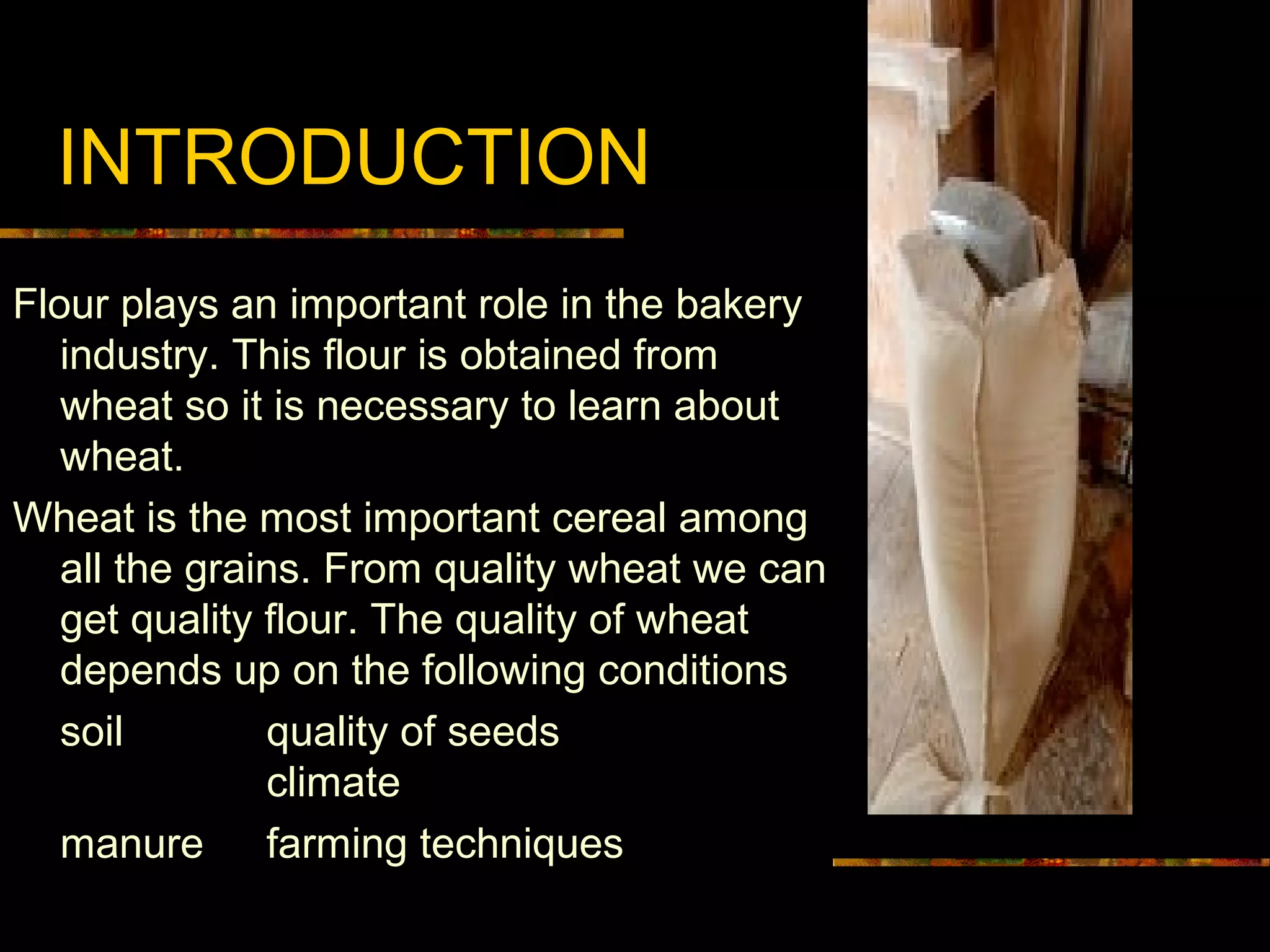Wheat | PPT
