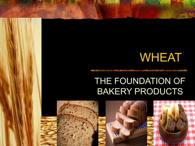 Wheat | PPT