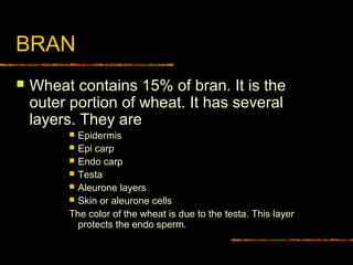 Wheat | PPT