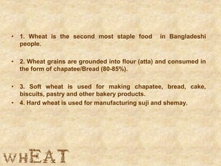 Wheat ... | PPTX