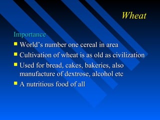 Wheat | PPT