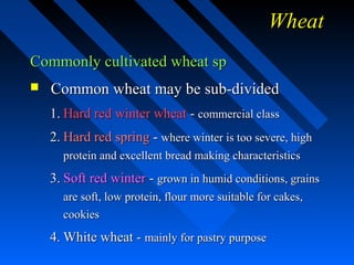 Wheat | PPT