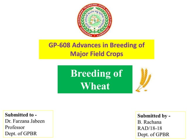 Wheat | PPTX