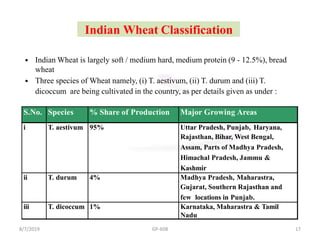 Wheat | PPTX