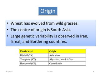 Wheat | PPTX