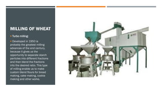 WHEAT... | PDF