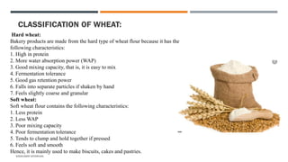 WHEAT... | PDF