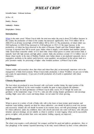 Wheat | DOCX