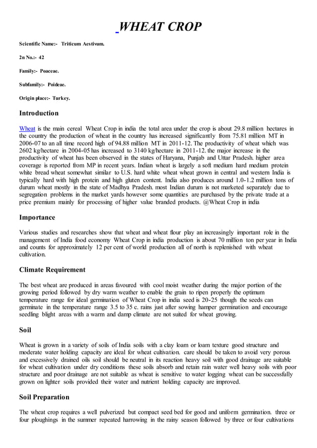 Wheat | DOCX