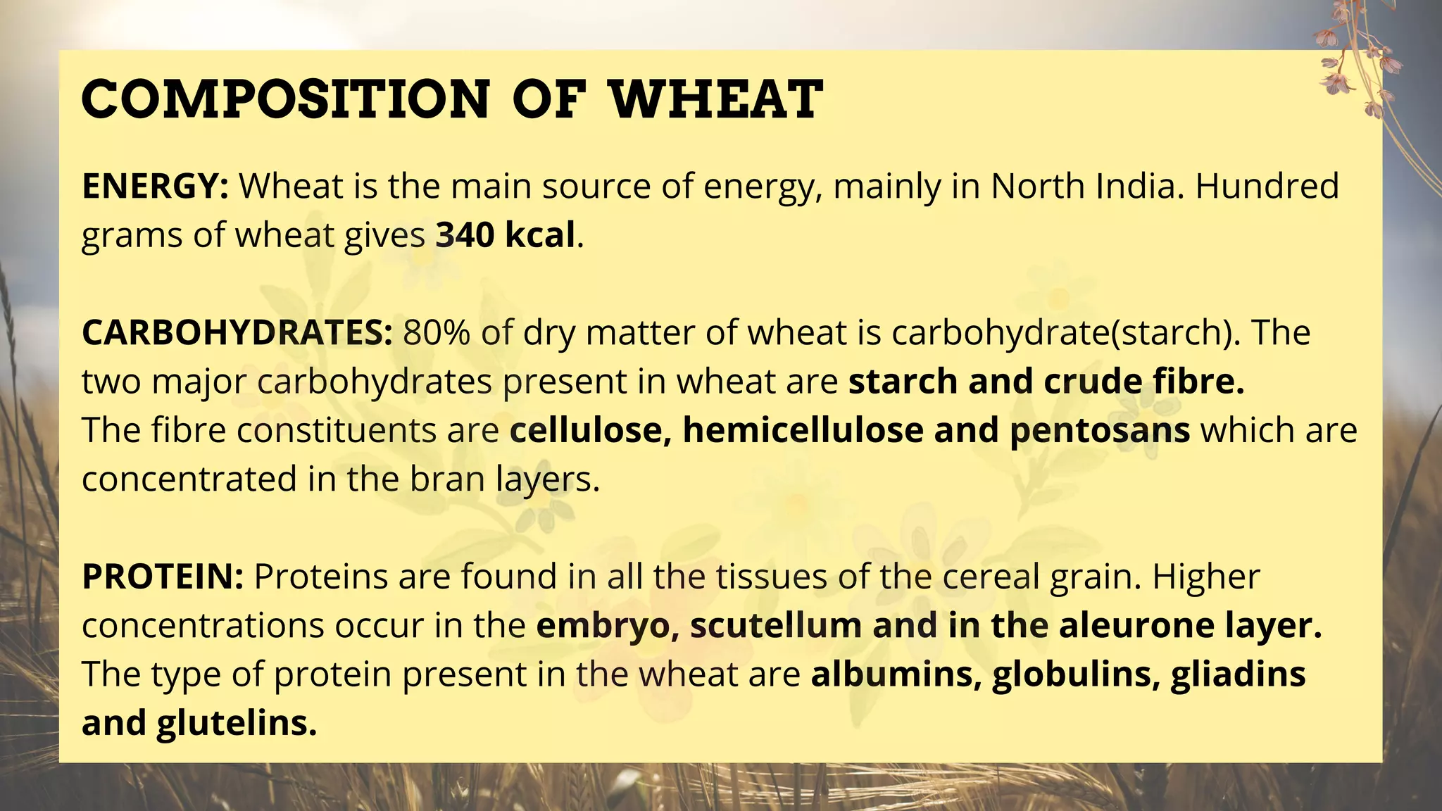 WHEAT | PDF | Nutrition | Healthy Living