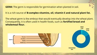 WHEAT | PDF | Nutrition | Healthy Living