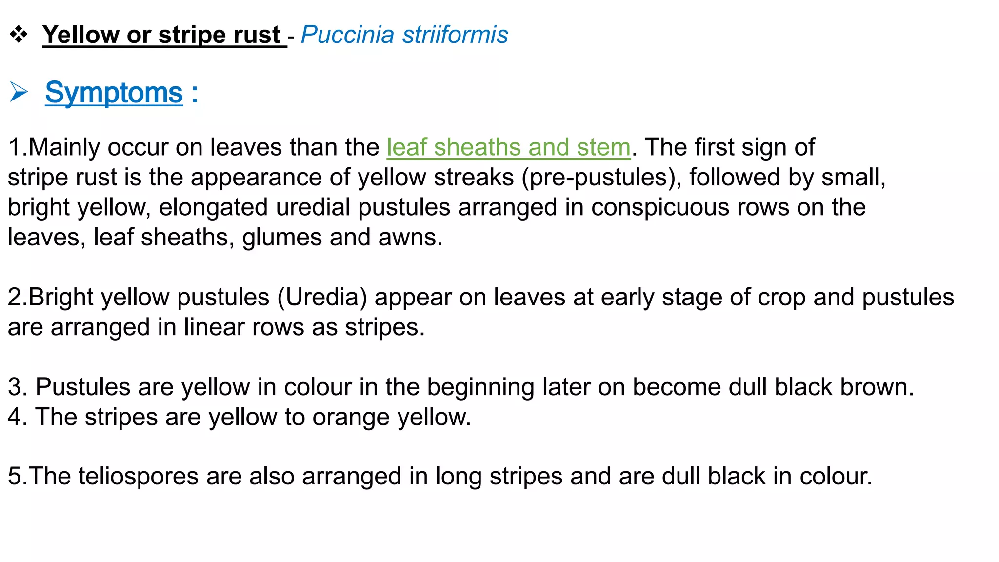 Diseases of Wheat.pptx
