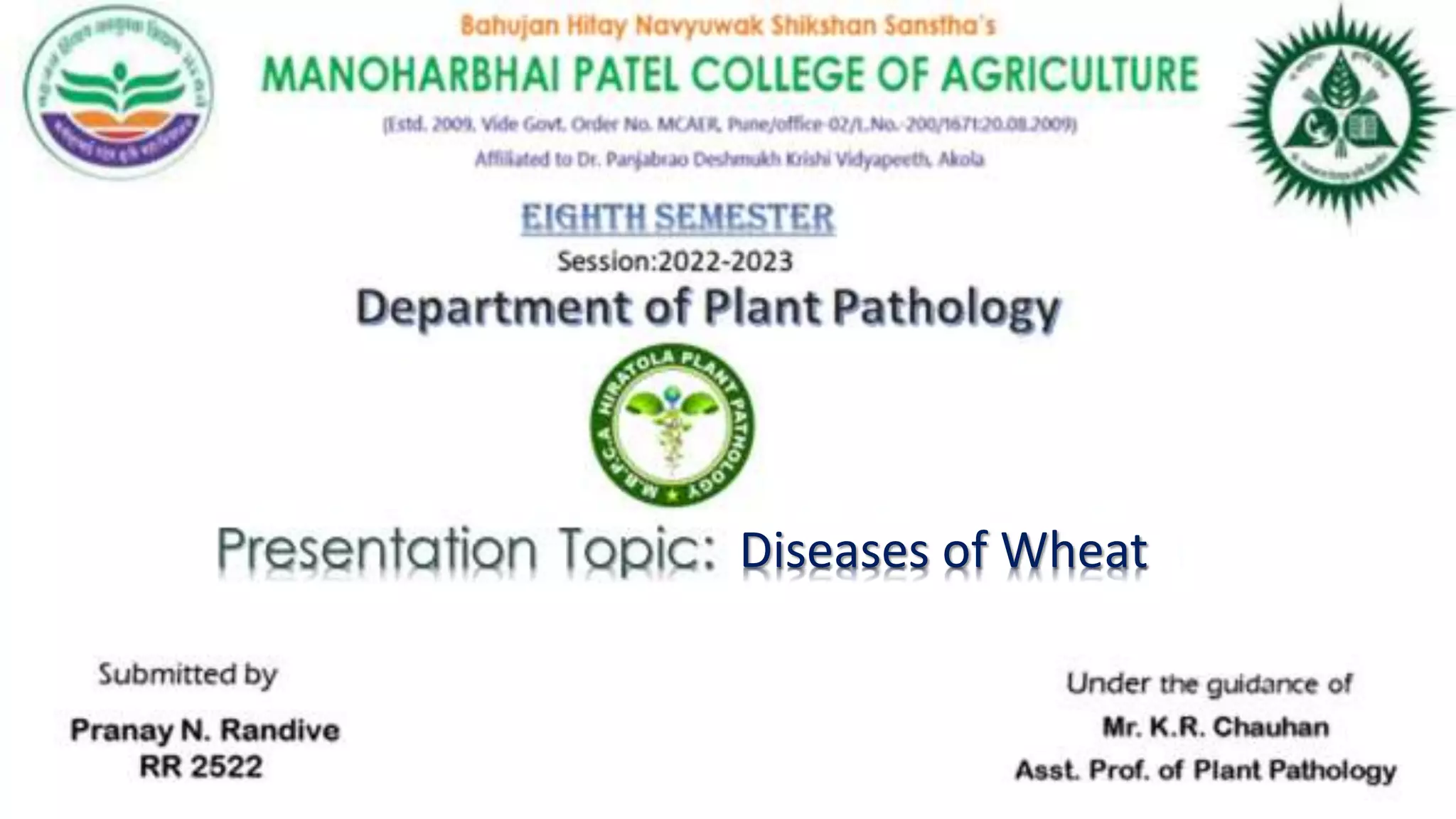 Diseases of Wheat.pptx