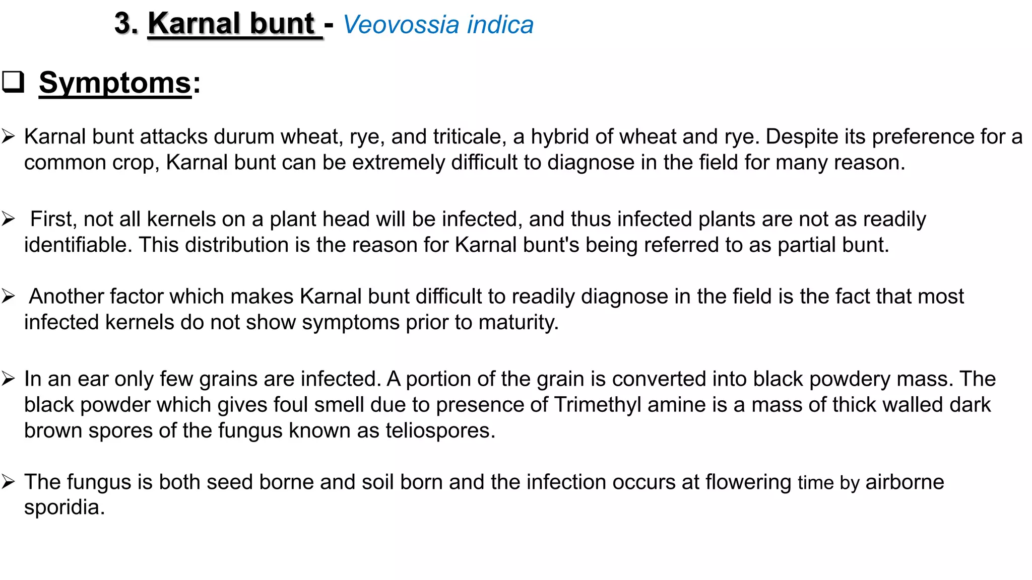 Diseases of Wheat.pptx