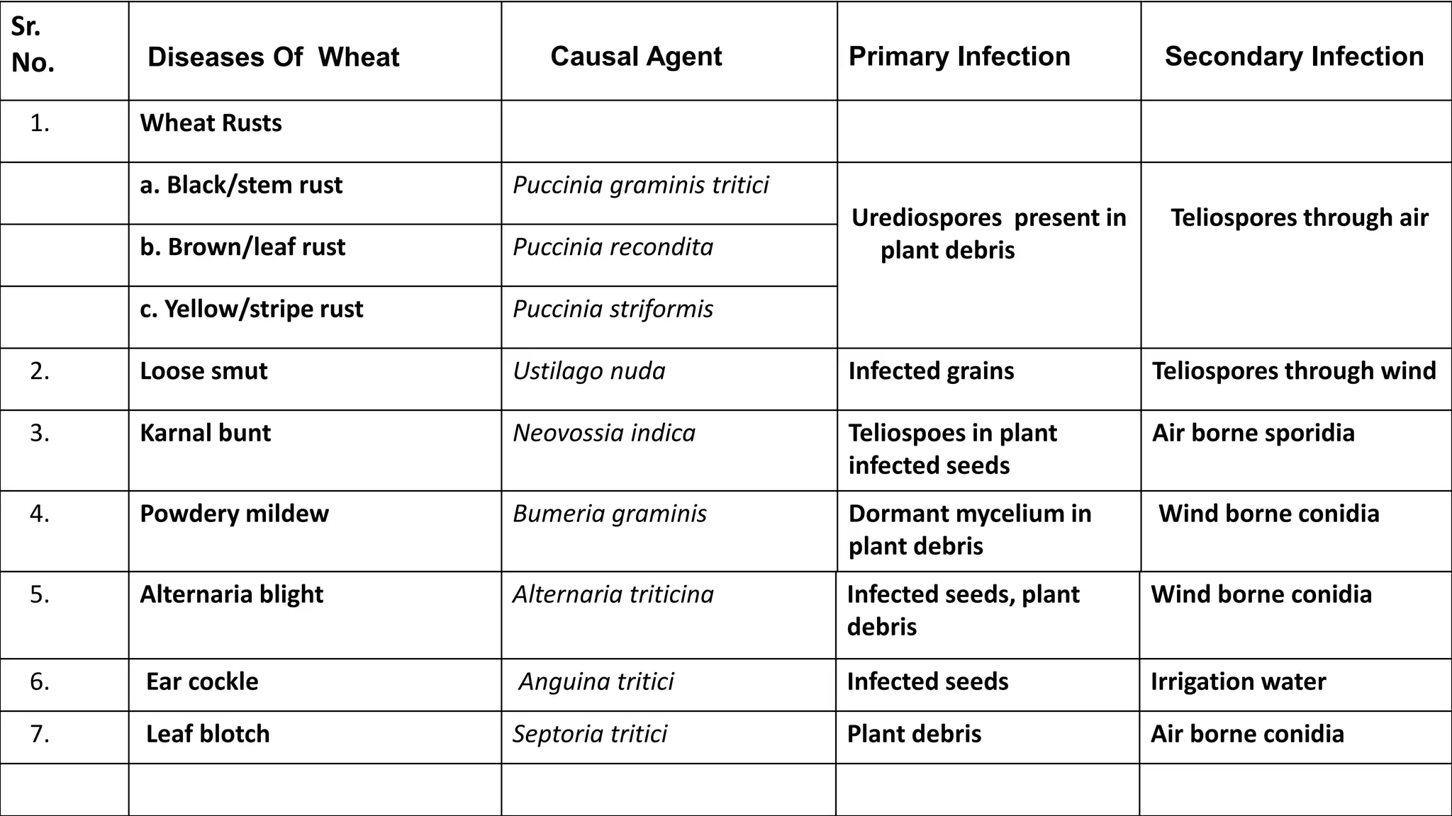 Diseases of Wheat.pptx