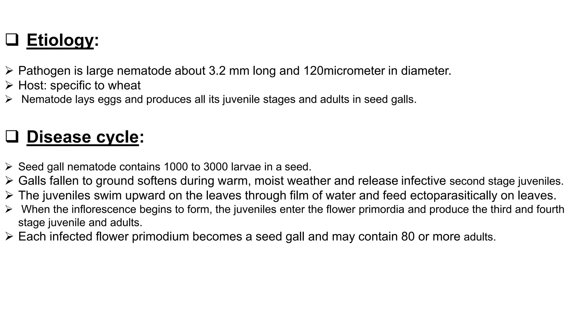 Diseases of Wheat.pptx