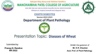 Diseases of Wheat.pptx