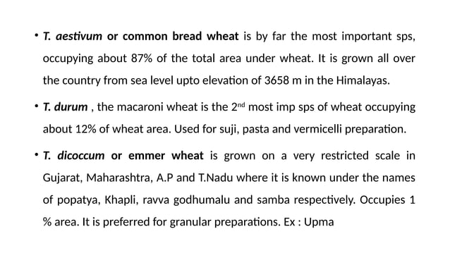 Wheat.pptx Crop production technology of wheat | PPTX