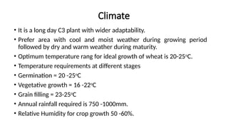 Wheat.pptx Crop production technology of wheat | PPTX