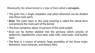 Wheat.pptx Crop production technology of wheat | PPTX