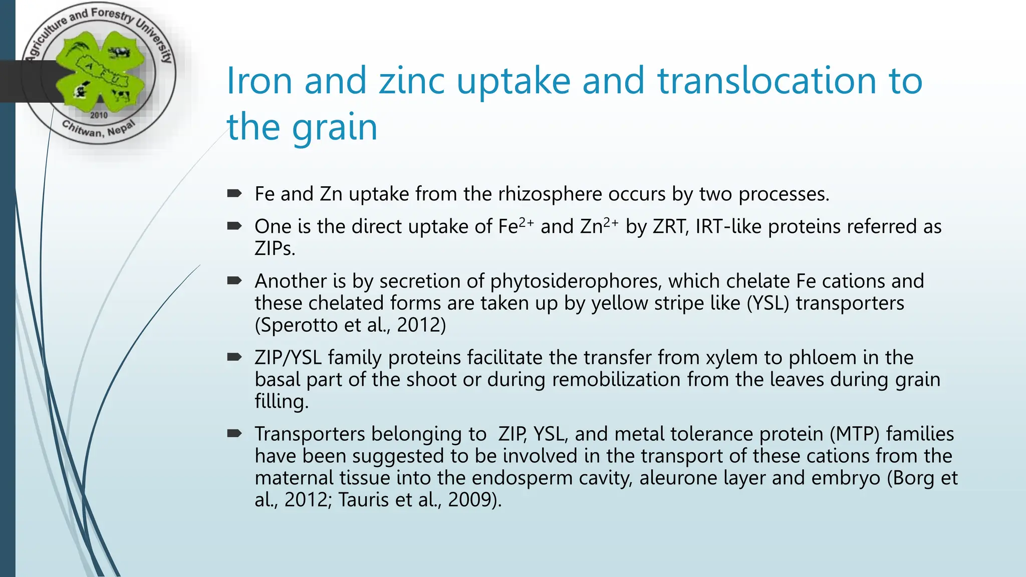 Wheat_Biofortification_Credit_Seminar_PK.pptx